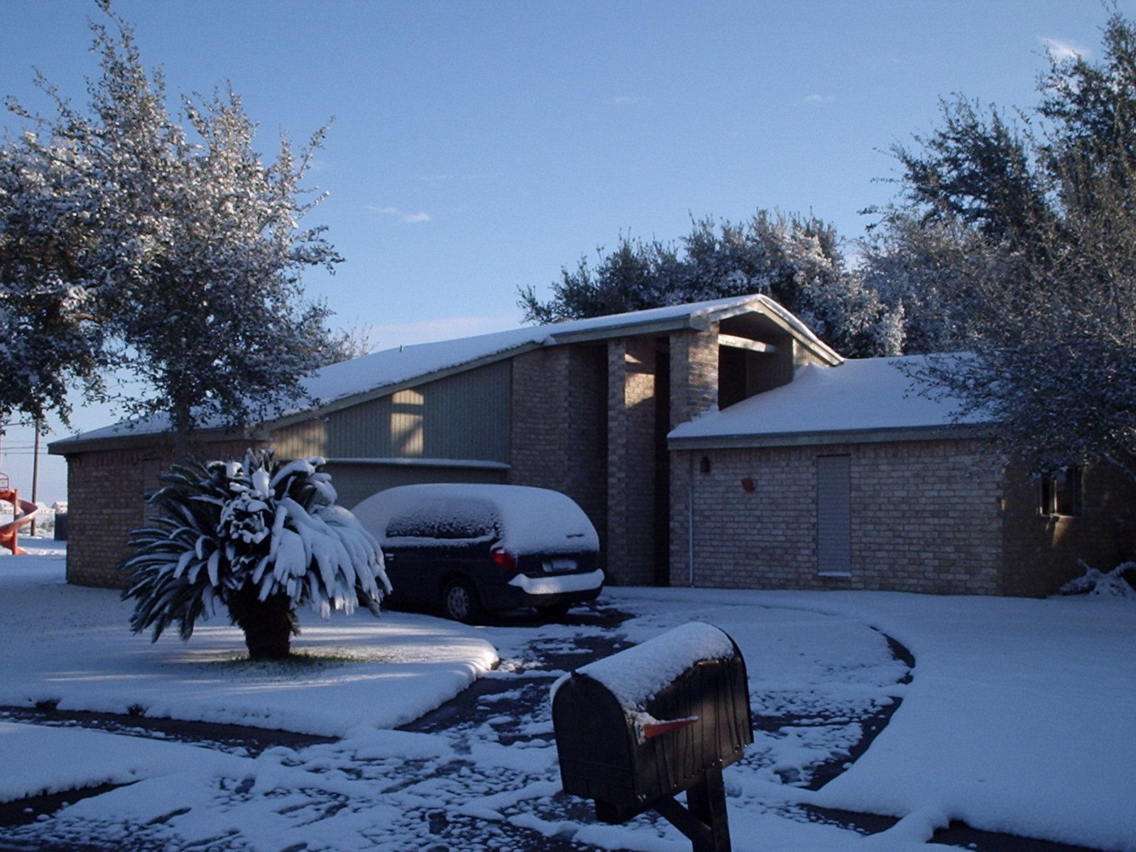 “Let It Snow” or “Stayin’ Home” | THE COASTAL CRONE