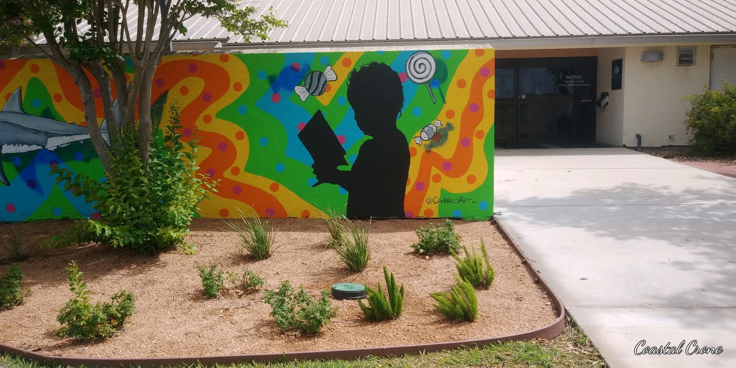 FRIDAY FOTO: LIBRARY MURAL | THE COASTAL CRONE